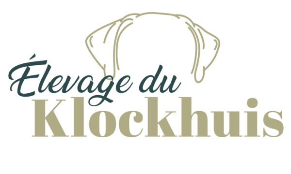 Réservation chiot - Élevage du Klockhuis